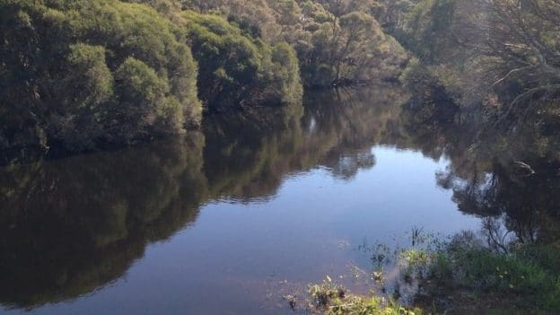 Scott River Action Plan Implementation Strategy and On-ground Action ...