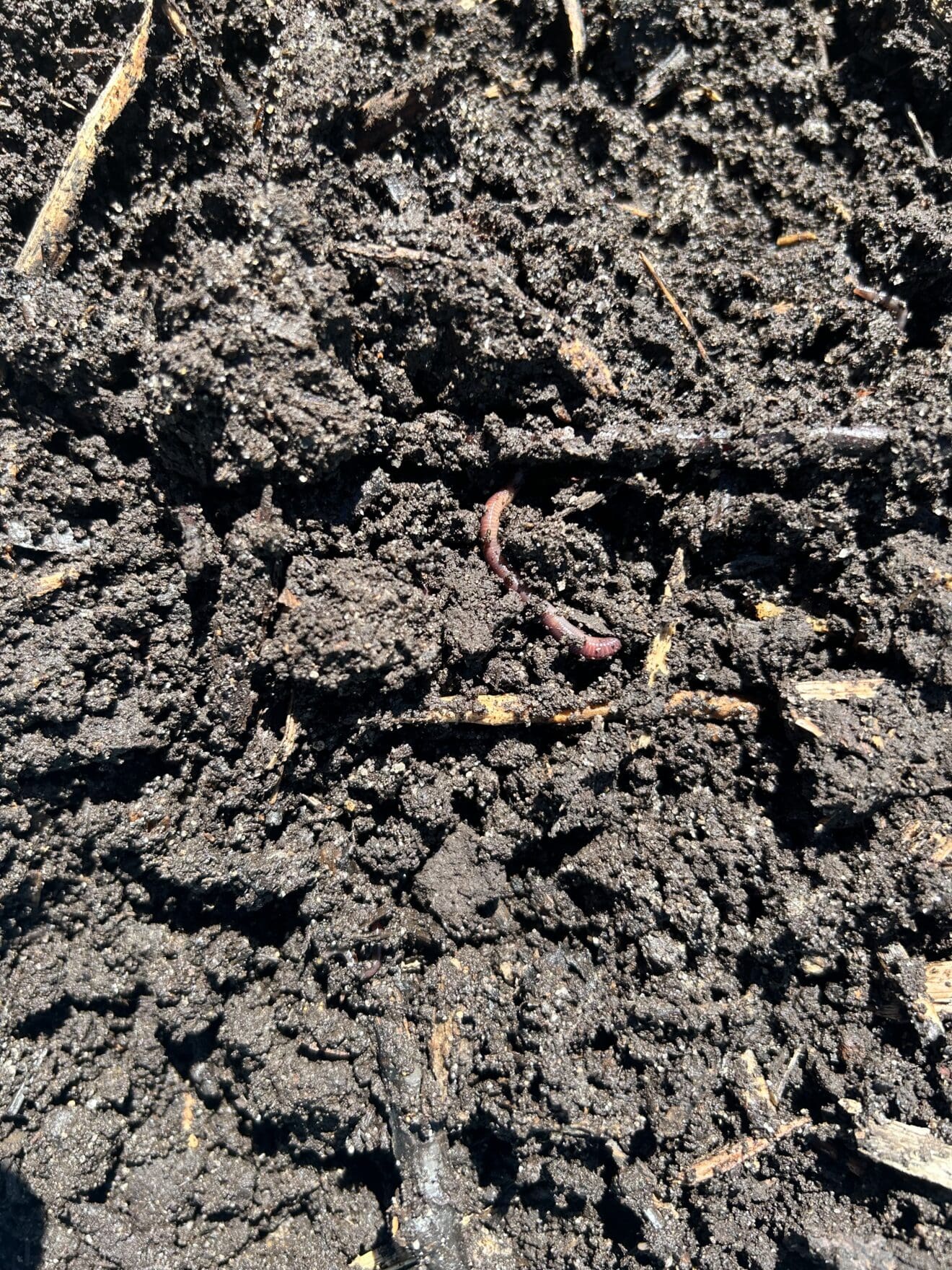 MYO JOHNSON SU COMPOST BIOREACTOR – Lower Blackwood LCDC